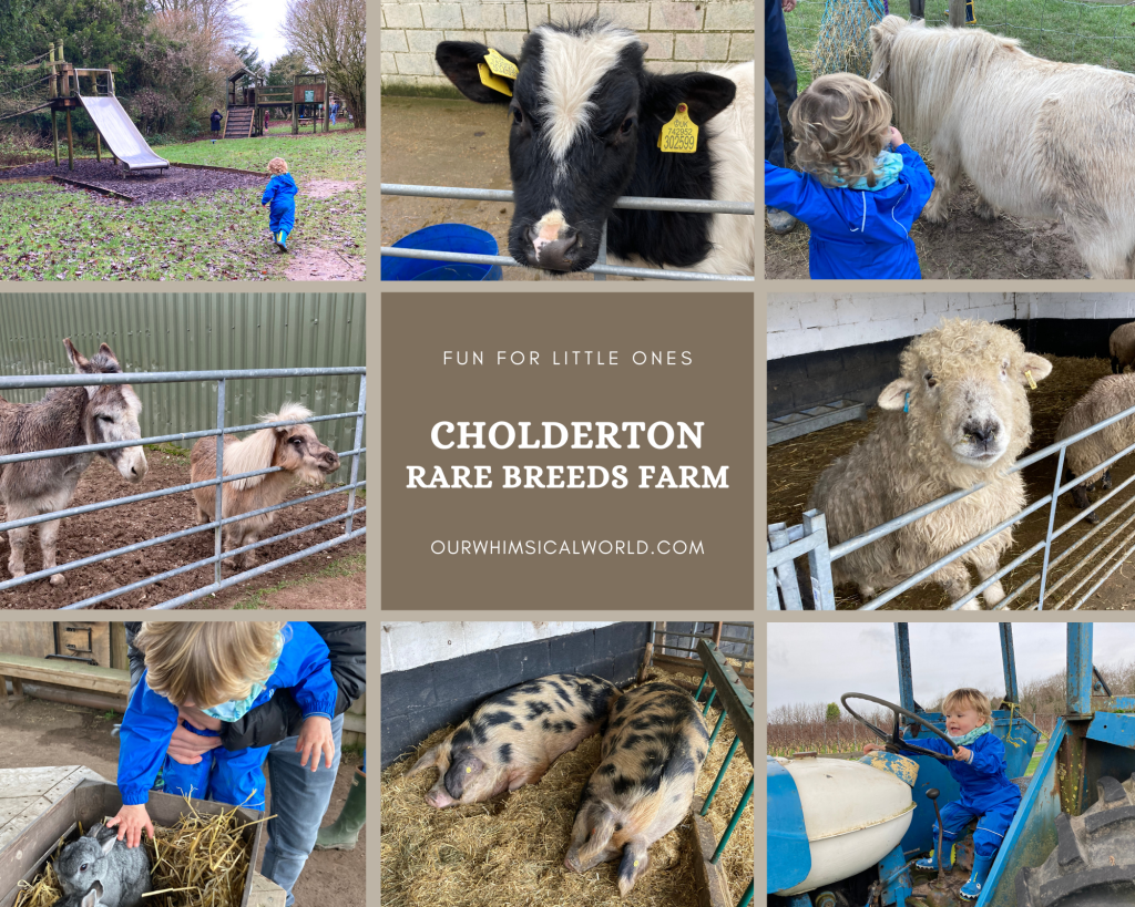 Visiting Cholderton Rare Breeds Farm – Our Whimsical World