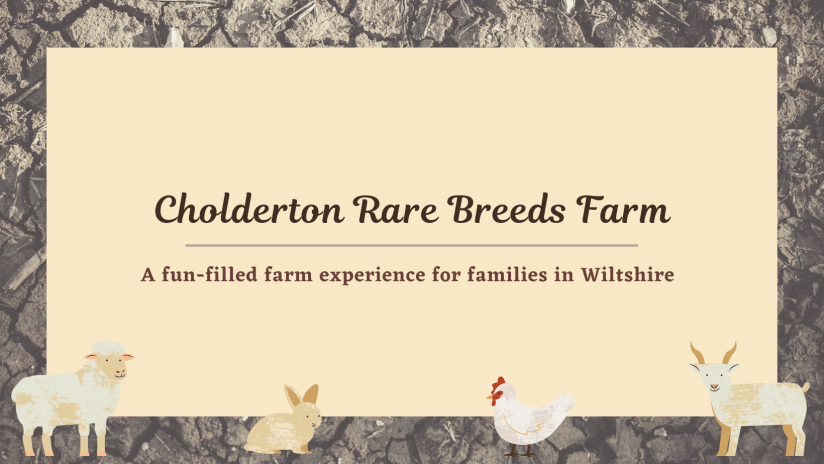 Visiting Cholderton Rare Breeds Farm – Our Whimsical World