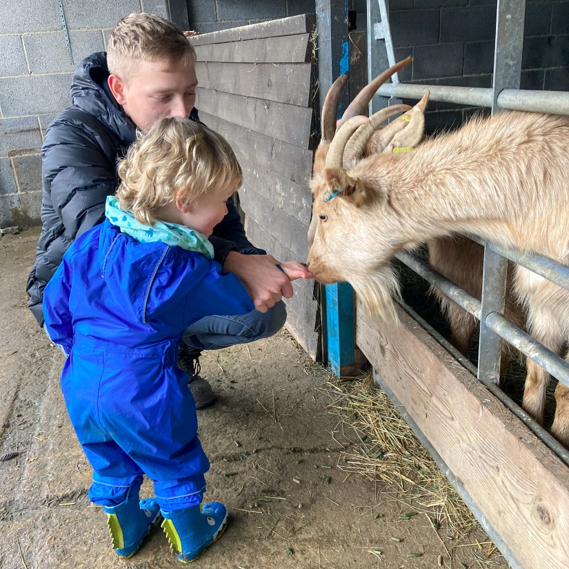 Visiting Cholderton Rare Breeds Farm – Our Whimsical World