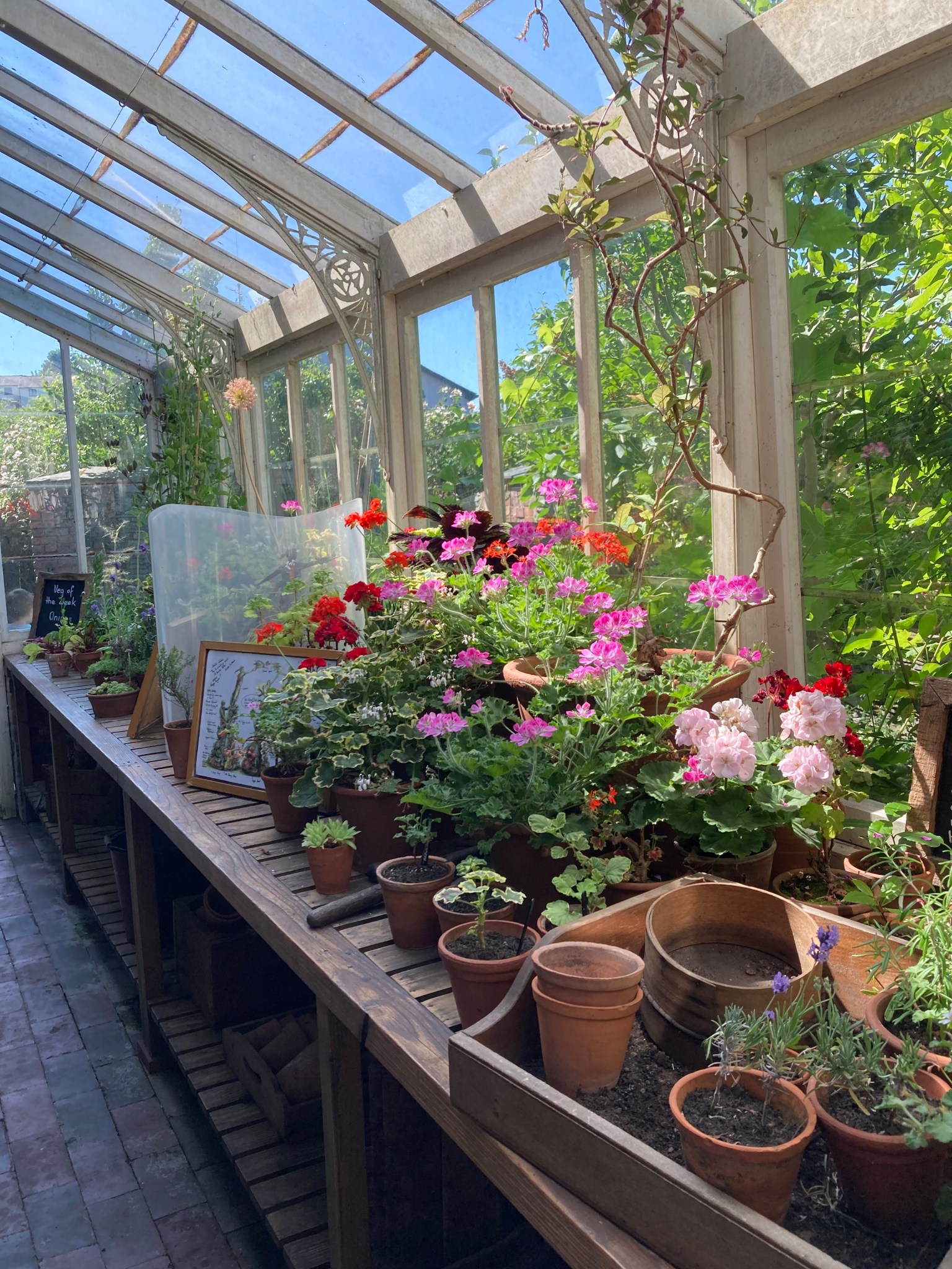 Visiting The World of Beatrix Potter – Our Whimsical World