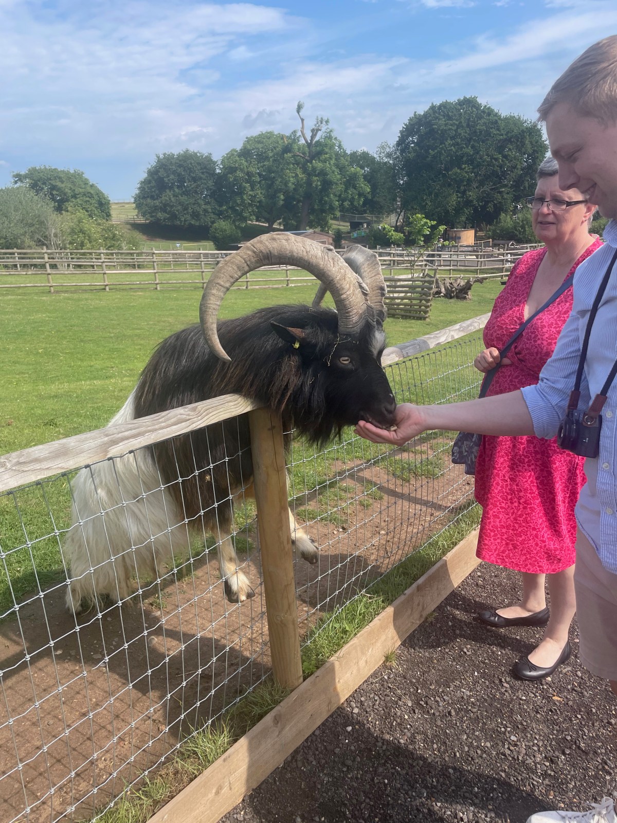 A Beary Good Day Out? Visiting Jimmy’s Farm & Wildlife Park – Our ...