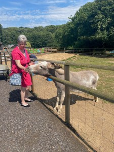 A Beary Good Day Out? Visiting Jimmy’s Farm & Wildlife Park – Our ...