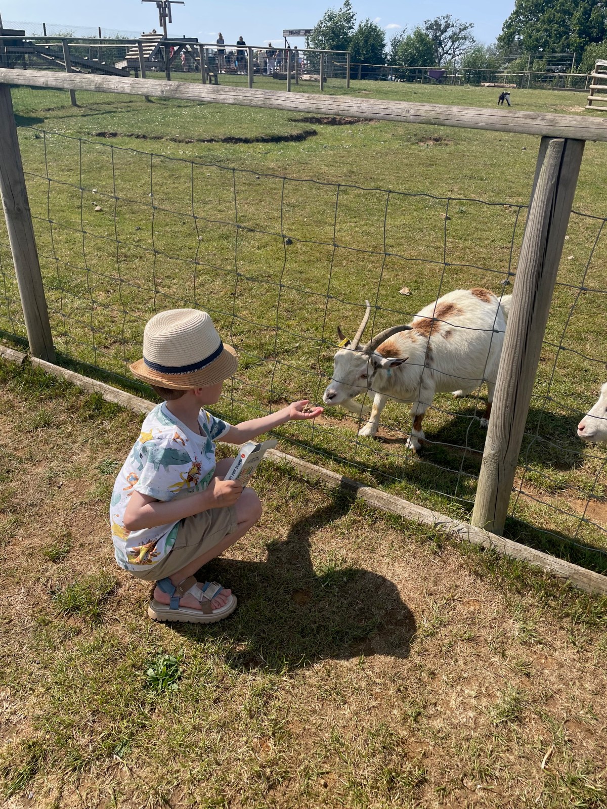 A Beary Good Day Out? Visiting Jimmy’s Farm & Wildlife Park – Our ...